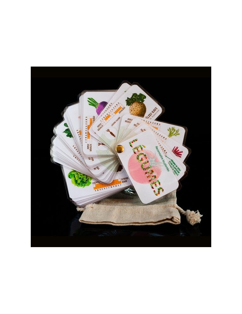 Carnet Légumes du potager, cueillis et en pousse